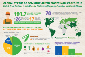 CropLife Australia | Global report confirms GM crops are beneficial to ...