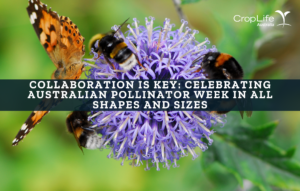 CropLife Australia | Collaboration is key: Celebrating Australian Pollinator Week in all shapes ...